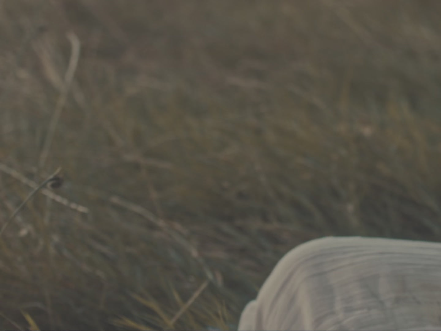 Defender | Bold Luxury Fragrance – Boadicea the Victorious