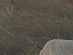 Defender | Bold Luxury Fragrance – Boadicea the Victorious